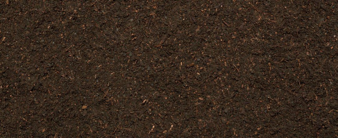 Dirt-Background - Anderson Seeds